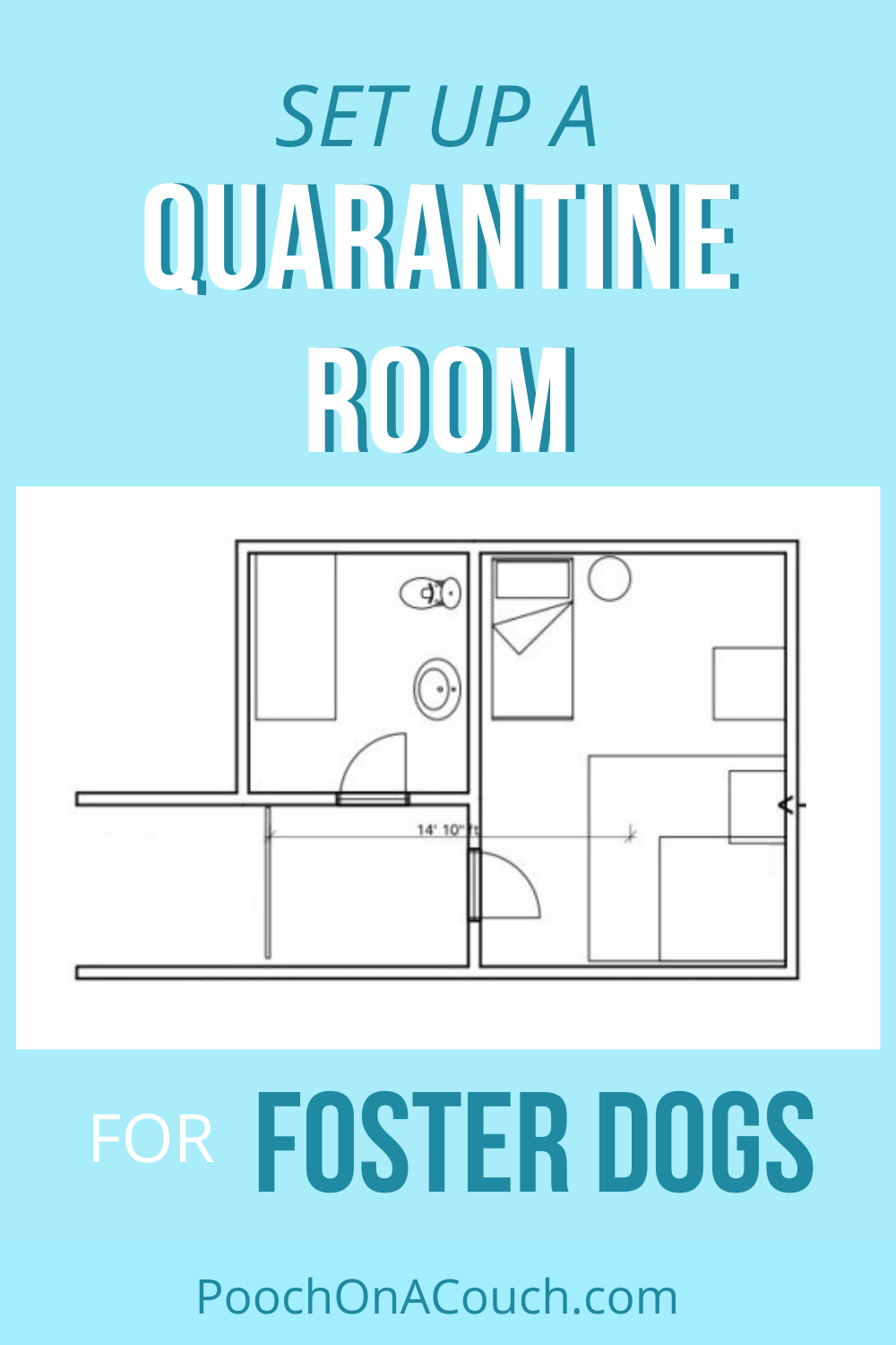 Quarantine Your Foster Dog: A Pro Plan That Works! » Pooch On A Couch